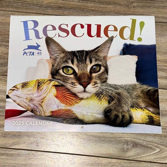 Office | Nwt 225 Peta Rescued 12 Month Calendar | Poshmark